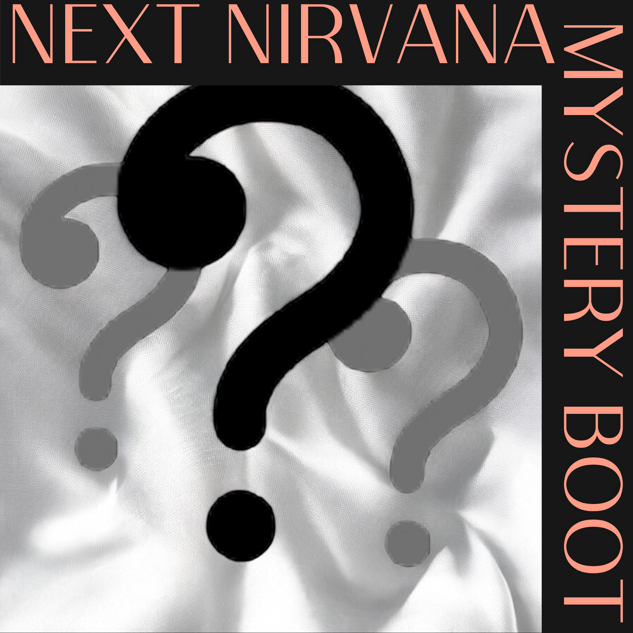 Mystery Silicone Tumbler Boot – Next Nirvana